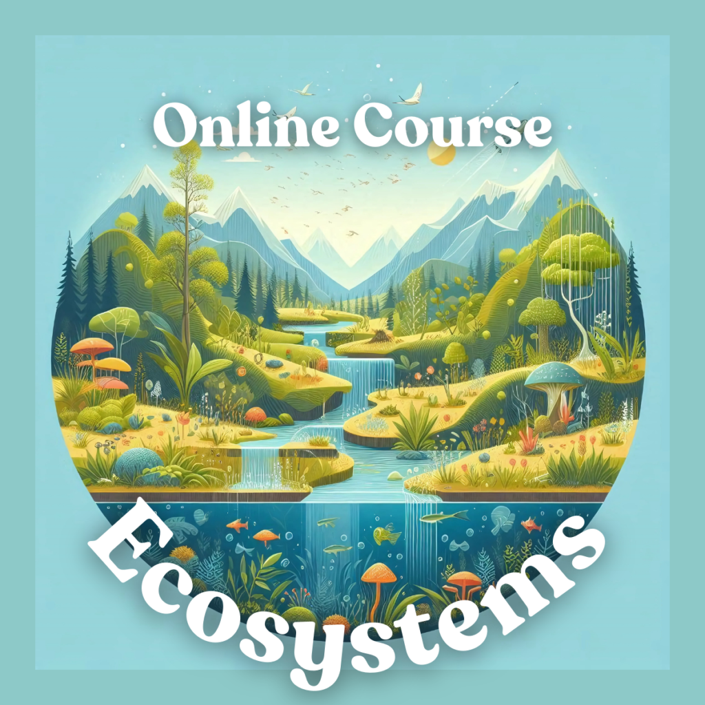 Ecosystems Online Course - Wild Wander Learning Collective