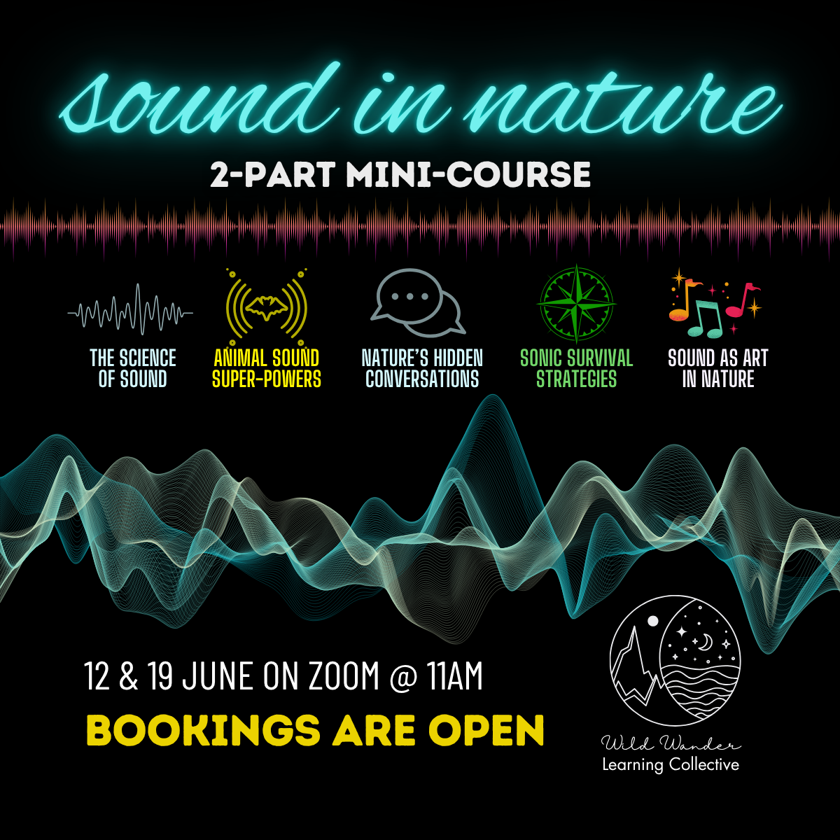 Sound in Nature - Wild Wander Learning Collective